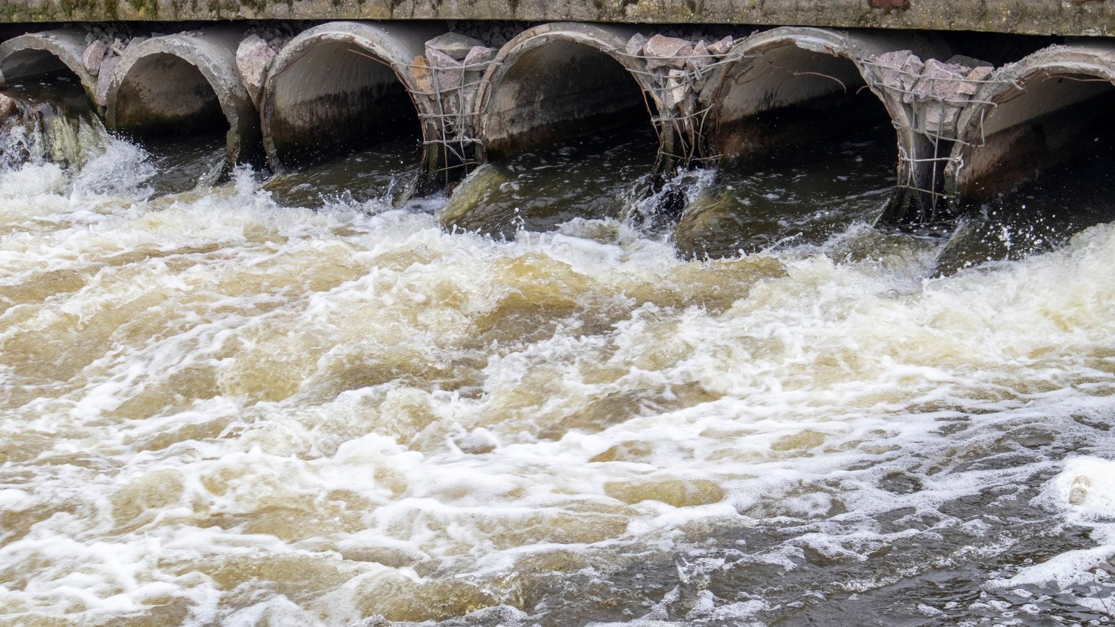 Ultimate Guide To Stormwater Drainage NZ